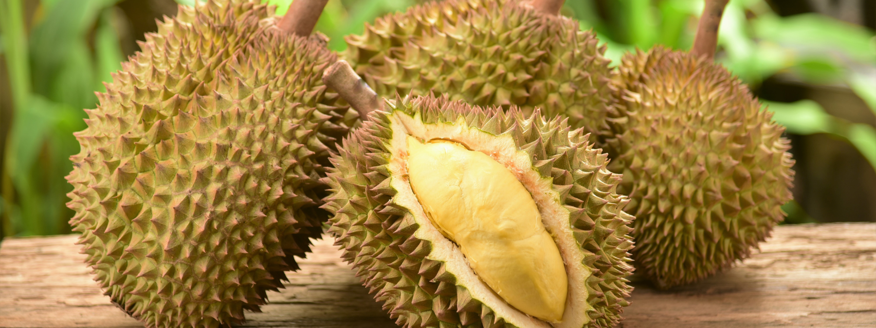 Durian Species Explained: A Comprehensive Guide to Different Types of ...