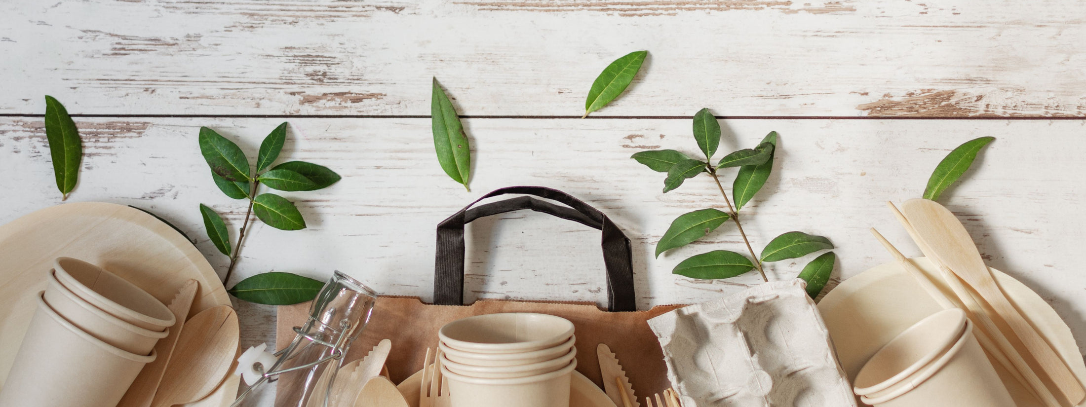 Eco-Friendly Lifestyle Products for Sustainable Living Advocates – Love.com