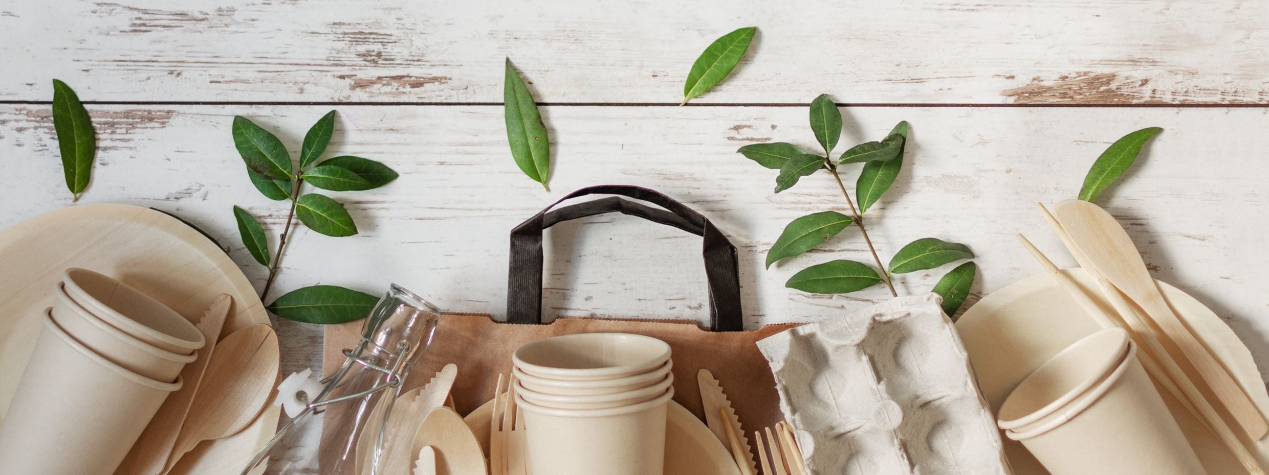 Compostable vs. Biodegradable: What’s the Difference and Why It Matter ...