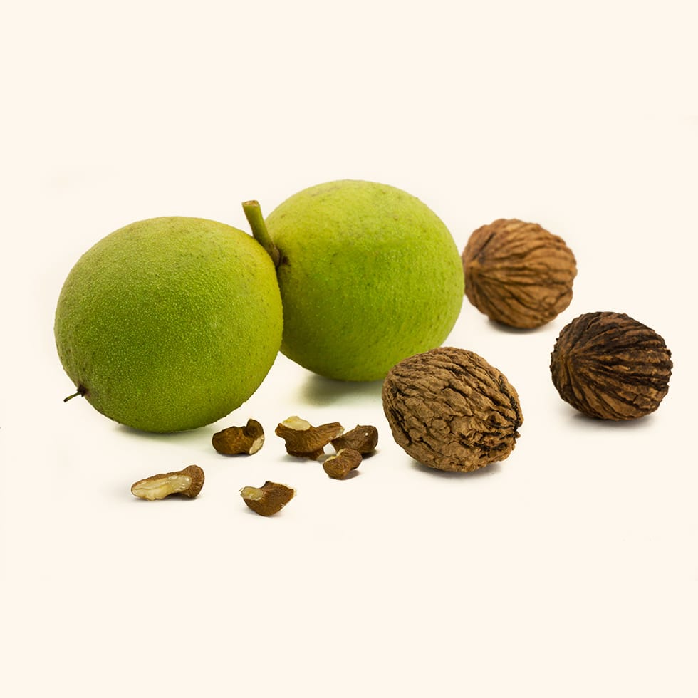 Green Black Walnut Wormwood Complex For Immune Support – Love.com