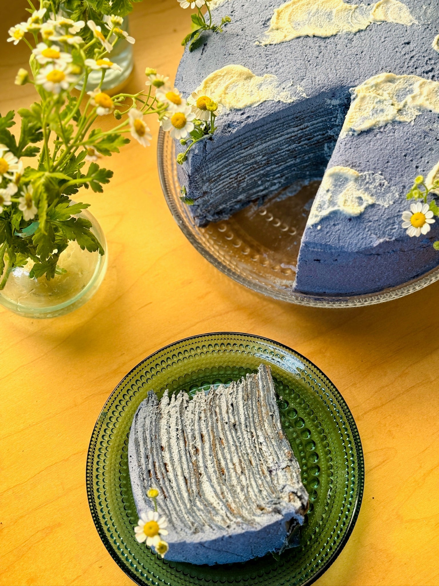 BUTTERFLY PEA FLOWER | Blue Healer – Love.com